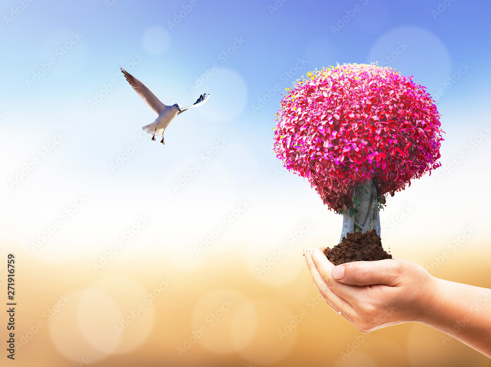 International Day of Peace concept: hands holding red big tree on ...