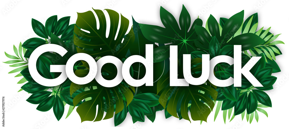 Good luck word and green tropical’s leaves background Stock ...