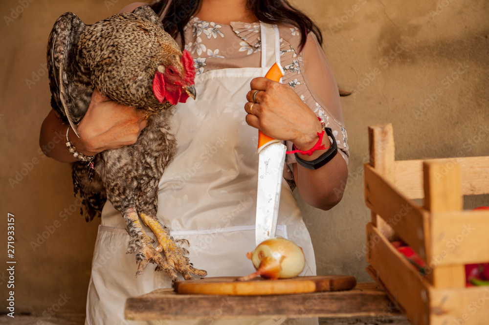 Attractive Indian woman cook posing in kitchen with chicken in her ...