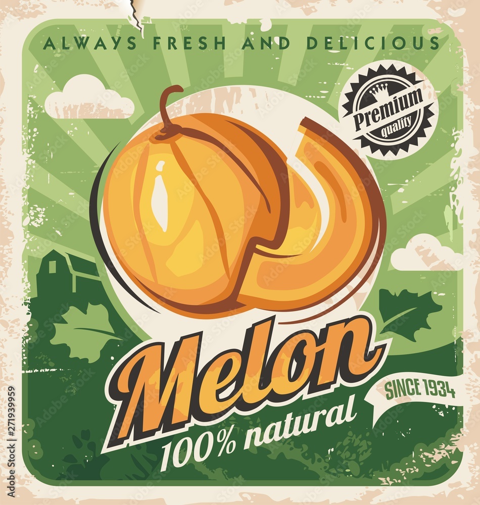 Cantaloupe melon retro poster design. Farm fresh melons vintage ad ...