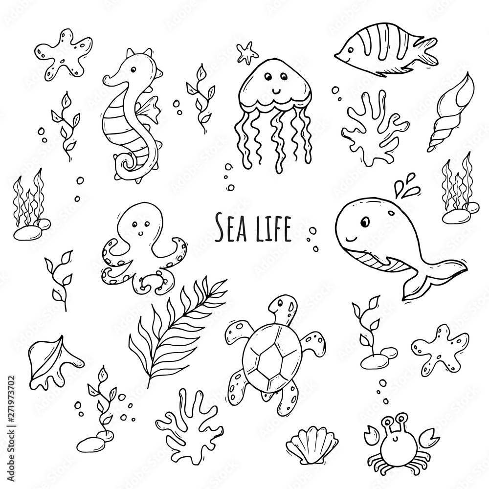 Ocean Animal Clip Art Black And White