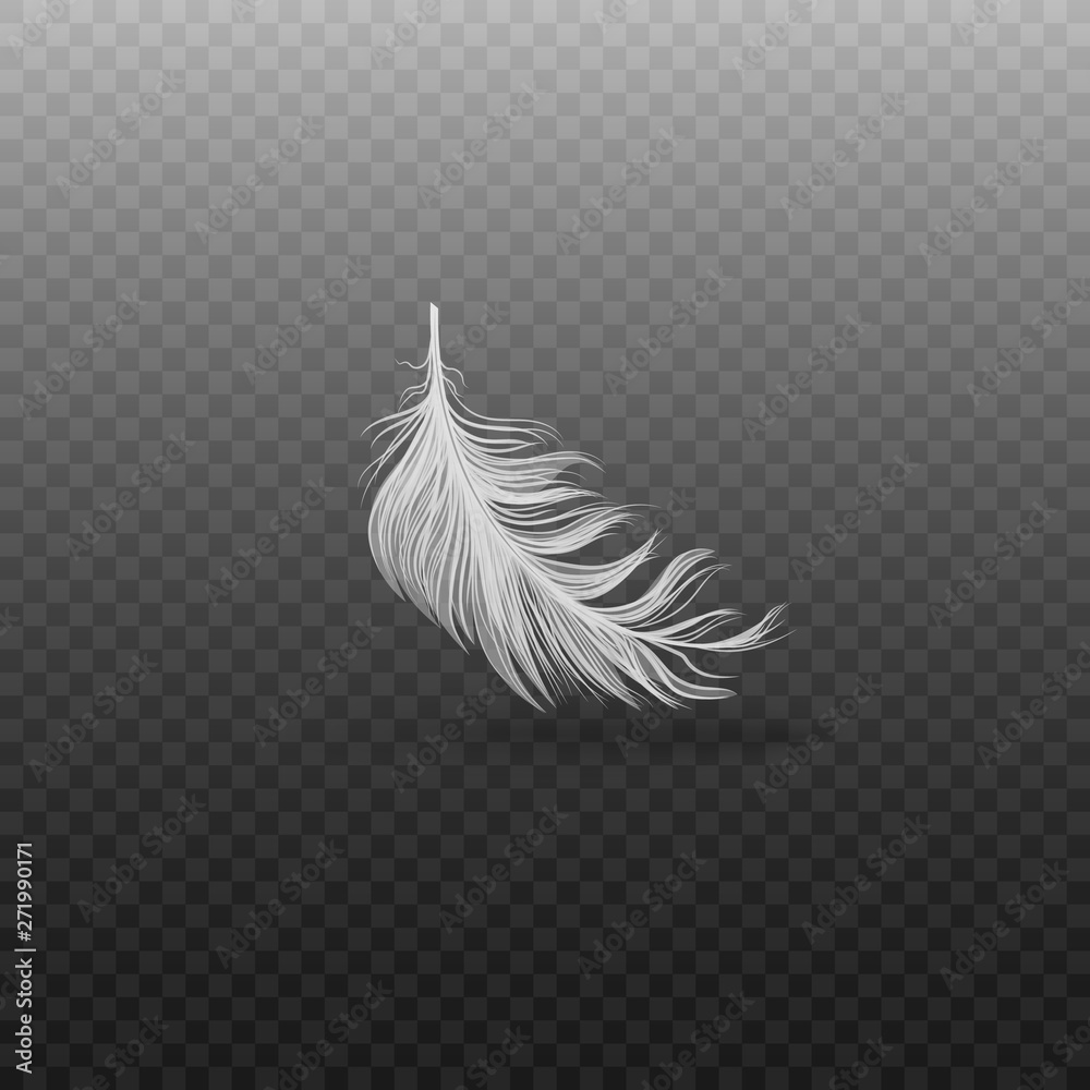 Falling and soft realistic white bird feather with fluff on a ...