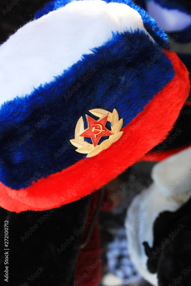 Ushanka hat traditional russian fur cap from soviet era painted in ...