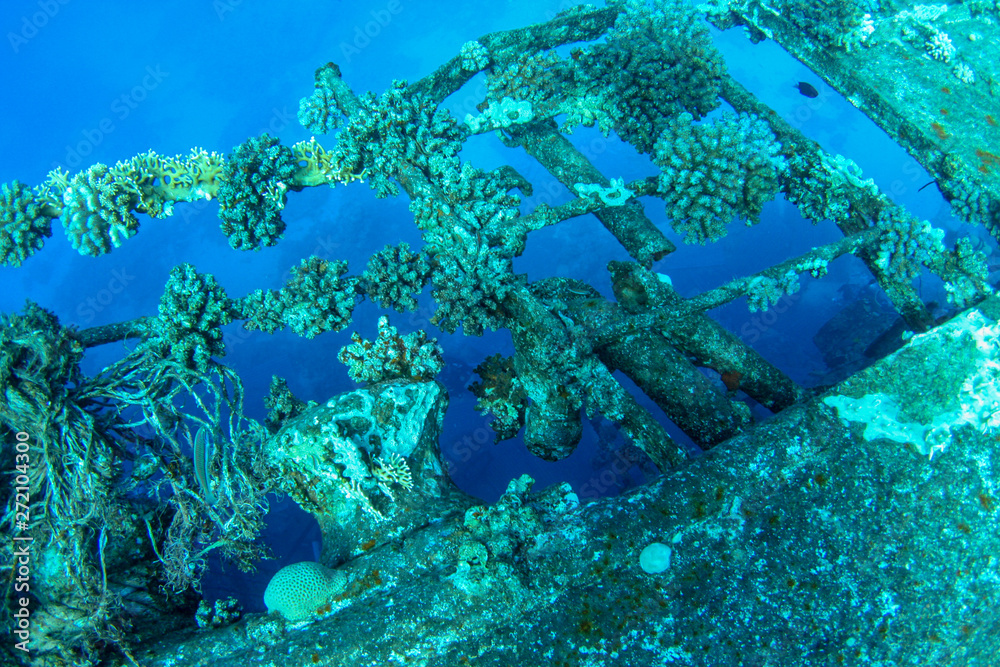 Underwater photography of coral on sunken ship wreck. Stock Photo ...