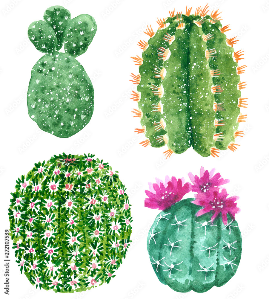 Clipart set with green cactuses blooming with pink flowerses blooming ...