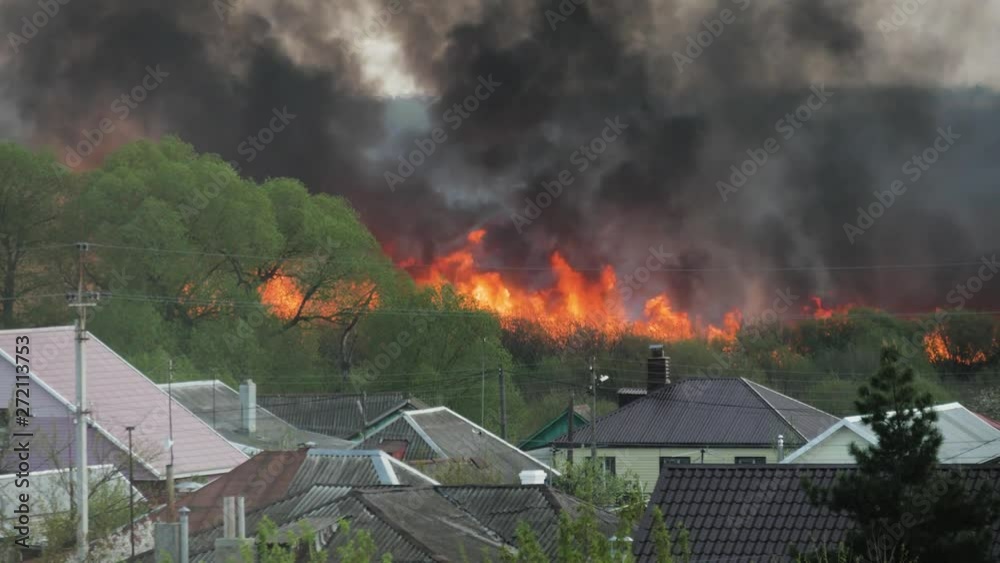 Strong forest fire, heavy smoke and open fire. Stock Video | Adobe Stock