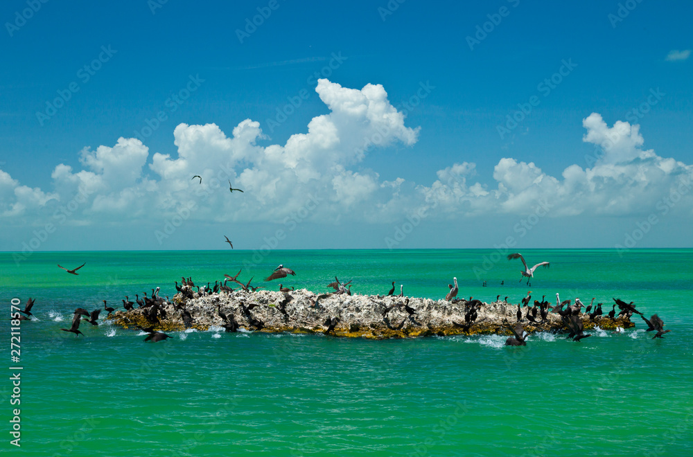 Parque Nacional Isla Contoy, Estado de Quntana Roo, Península de ...