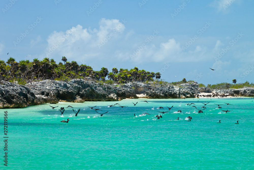 Parque Nacional Isla Contoy
