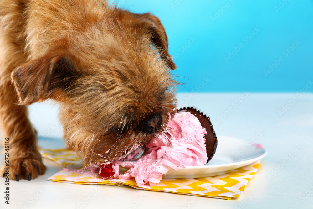 Dog Eating Cupcake