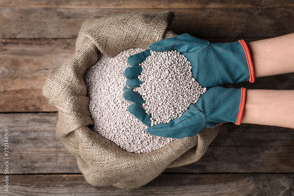 Poster Woman with handful of fertilizer over bag on wooden table, top ...