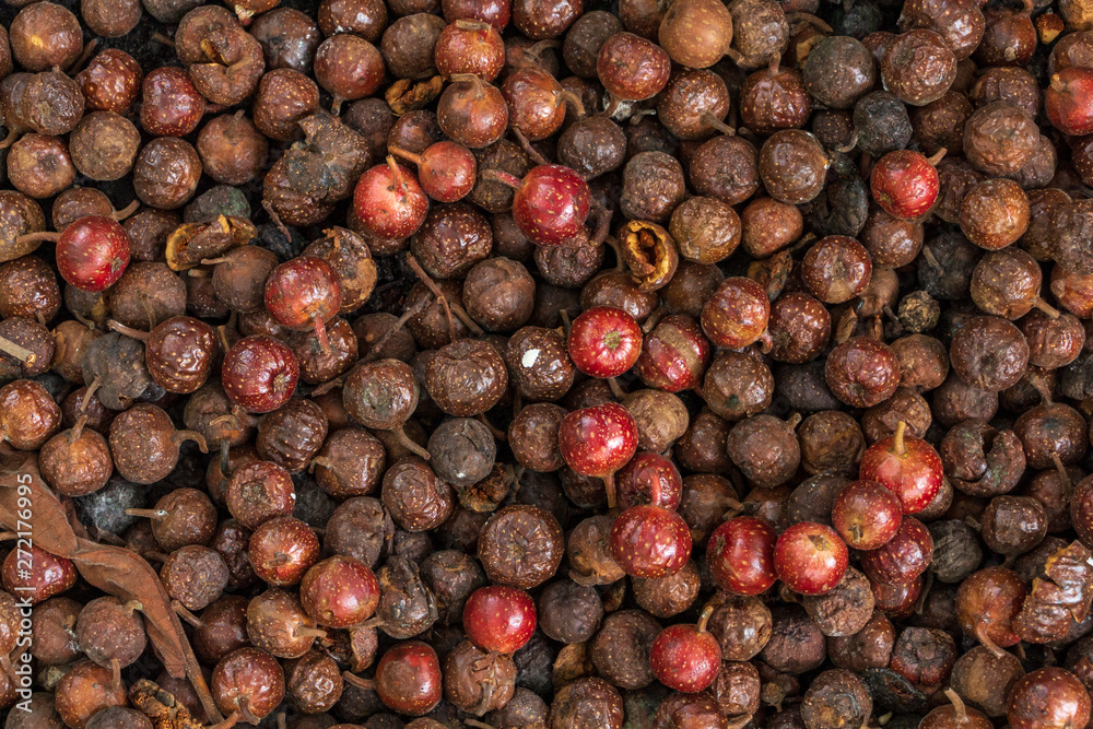 Fruit from cluster fig tree (Ficus racemosa) lying on ground - Florida ...