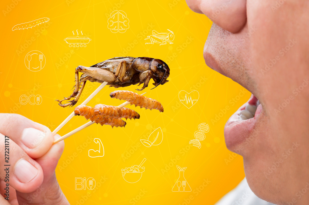 Food Insects: Man eating Bamboo Worms and Crickets insect deep-fried ...