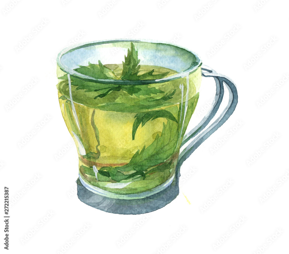 Watercolor realistic green tea cup isolated on a white background ...