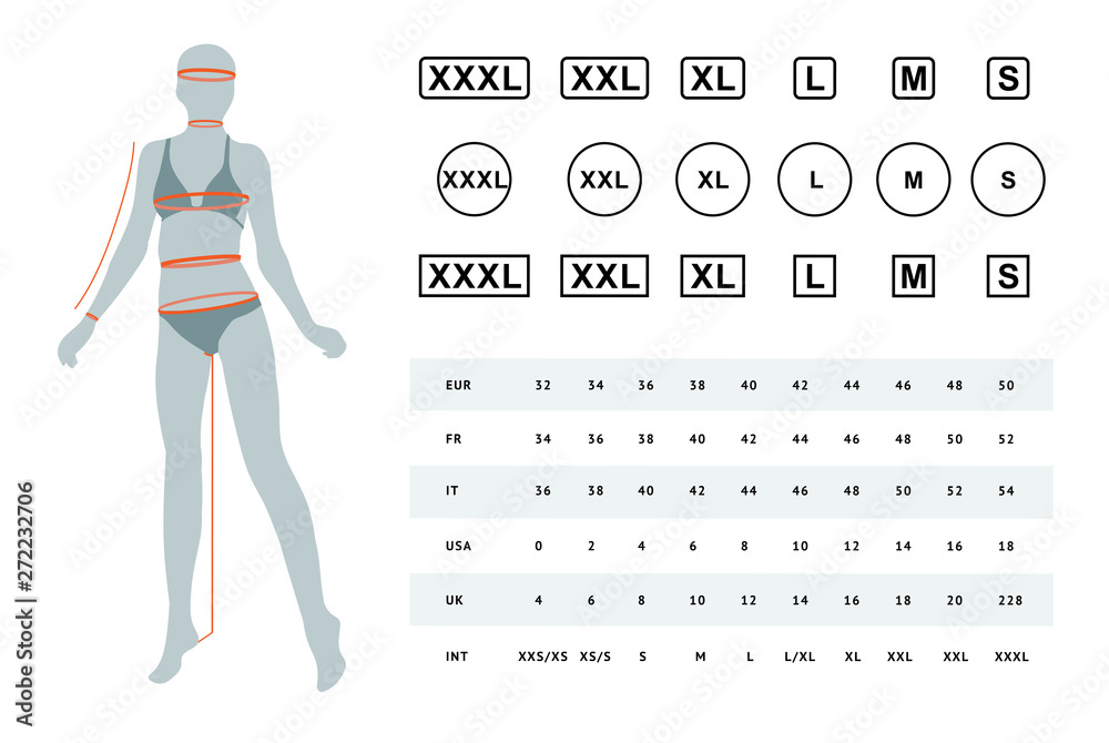 Vecteur Stock Vector illustration of the dimensions of a female body ...