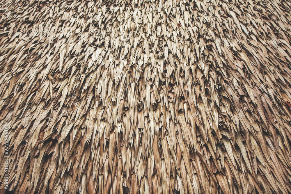 thatched roof texture background Stock Photo | Adobe Stock