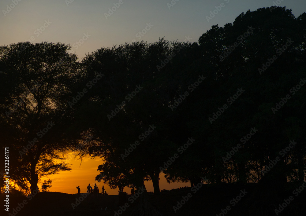 Silhouettes of dassanech tribe people under big trees, Omo valley ...