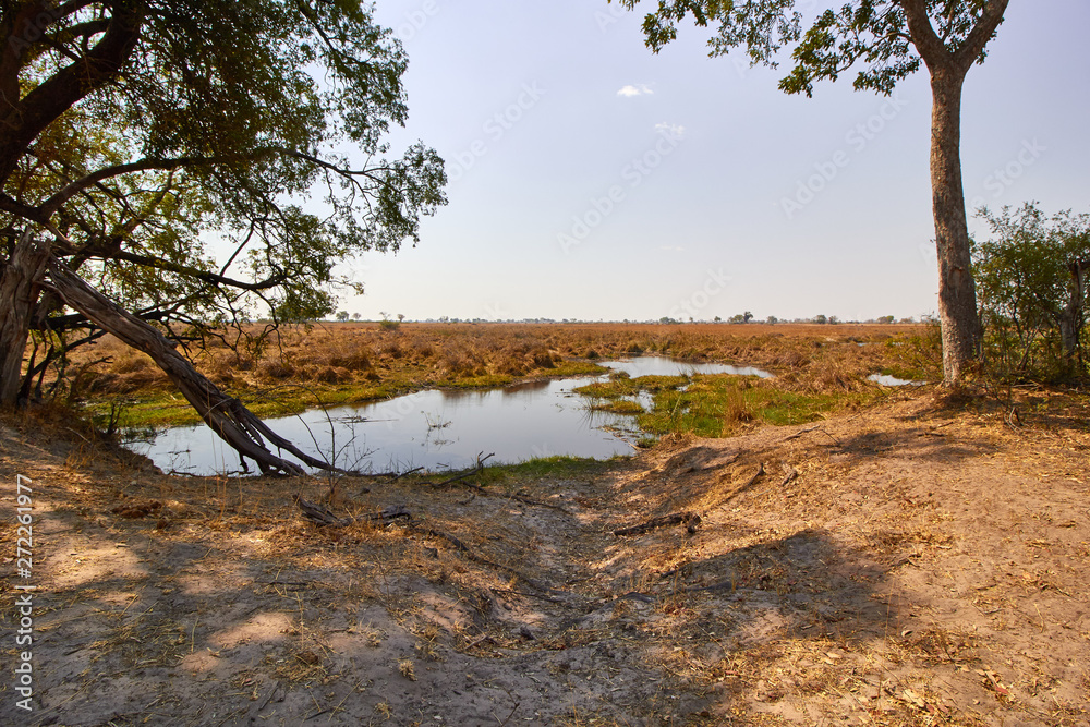 Vief of the river in the Caprivi Strip Stock Photo | Adobe Stock