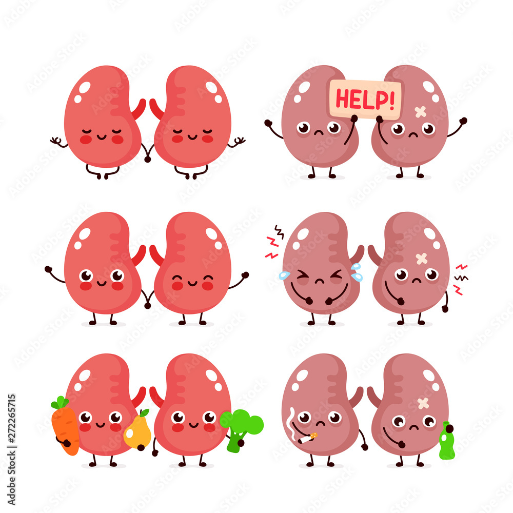 Cute kidneys set.Healthy and unhealthy organ Stock Vector | Adobe Stock