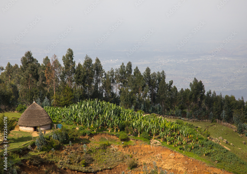 Foto de Gurage house in the mountain, Gurage zone, Butajira, Ethiopia ...