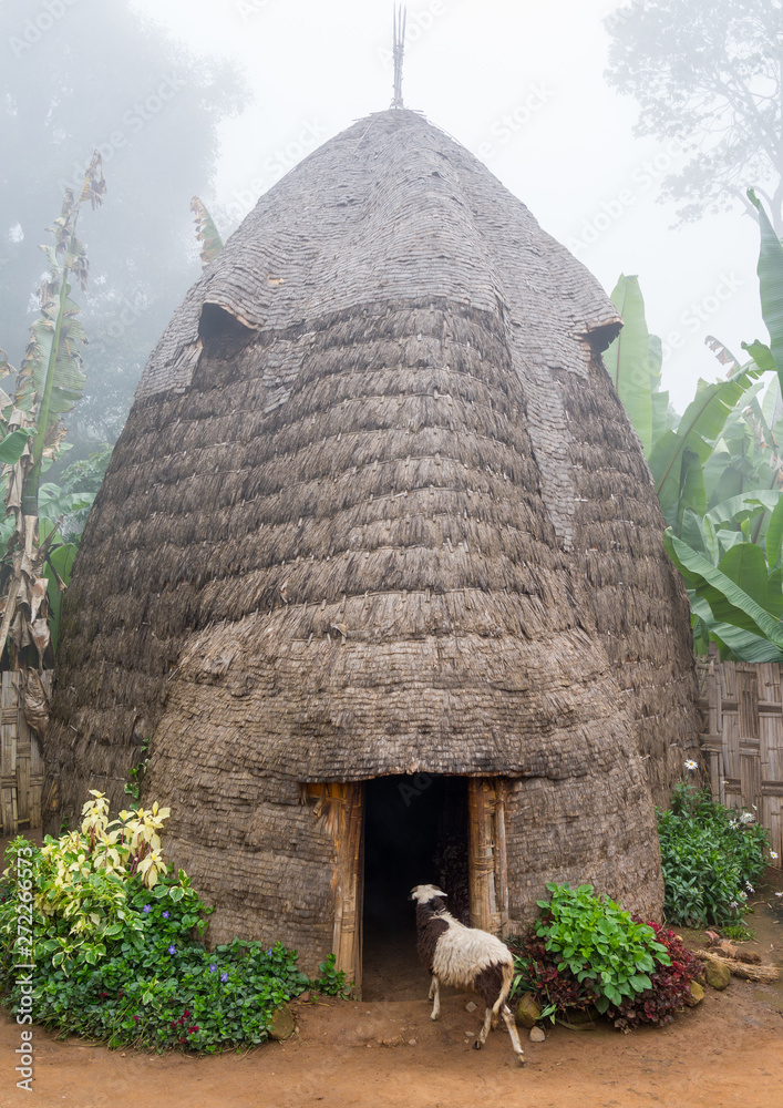 Traditional dorze house made of bamboo and enset leaves, Gamo gofa zone ...