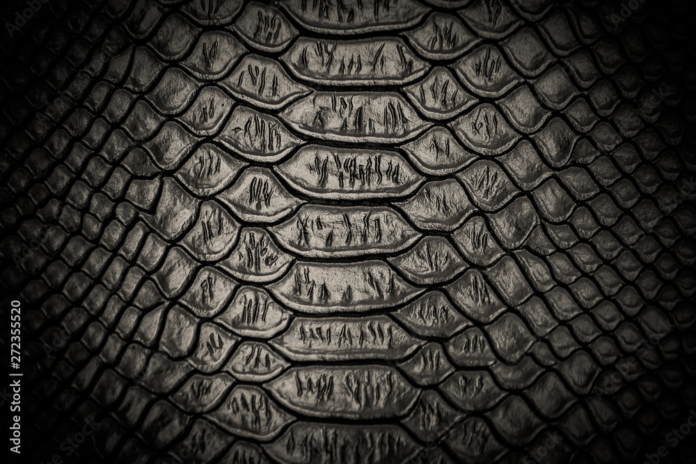Black snake skin pattern texture Stock Photo | Adobe Stock