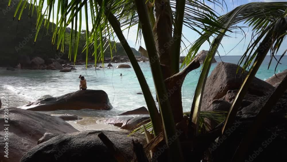 Seychelles. Praslin Island. Amazing view of the nature of the island ...