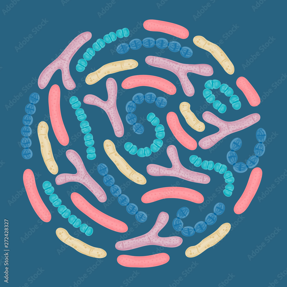 Vector probiotics in circular shape. Bifidobacterium, lactobacillus ...