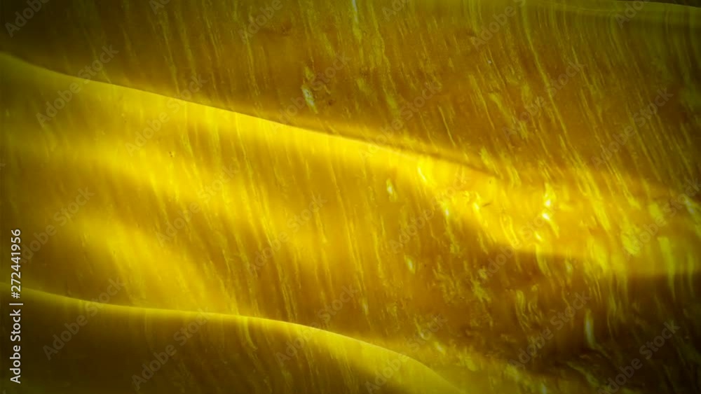 Golden oil Background flag Closeup 1080p Full HD 1920X1080 footage ...