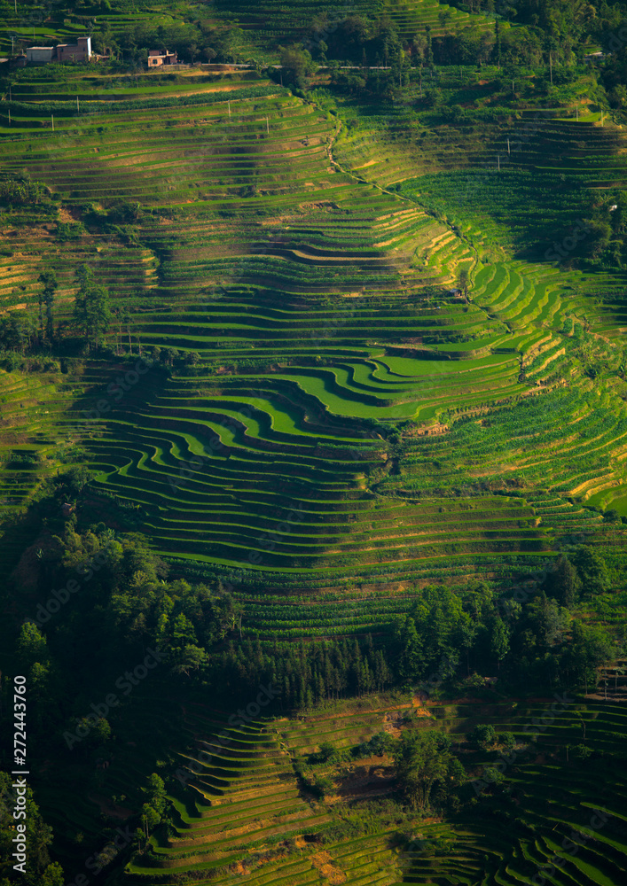 Green Rice Terraces Of Hani People In Yuanyang, Yunnan Province, China ...