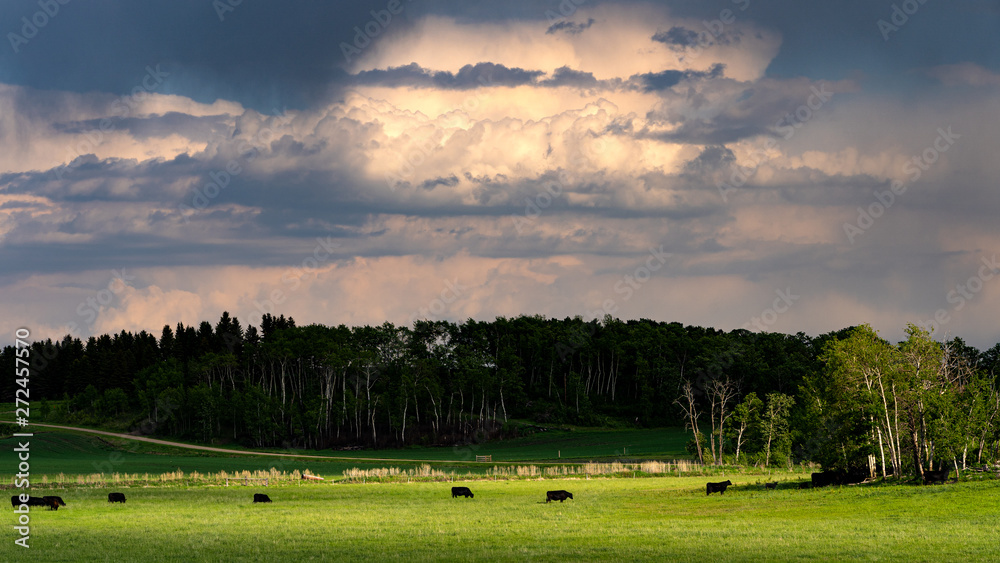 Storm clouds over vast prairies Ranches and farms bold sky powerful ...