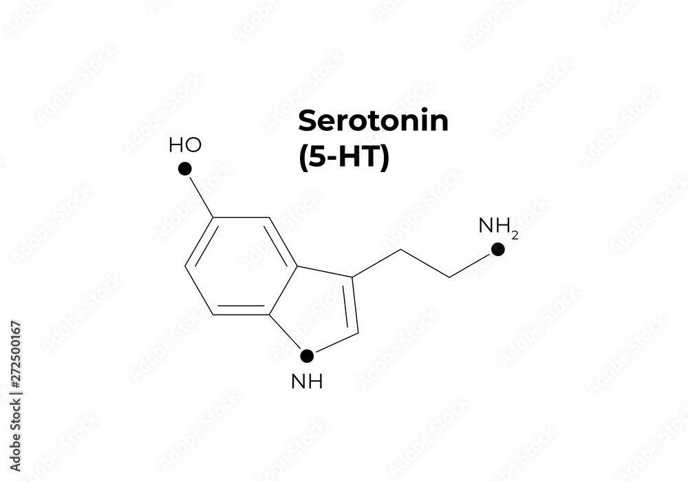 Vector hormones minimalistic banner template. Seratonin (5-HT ...