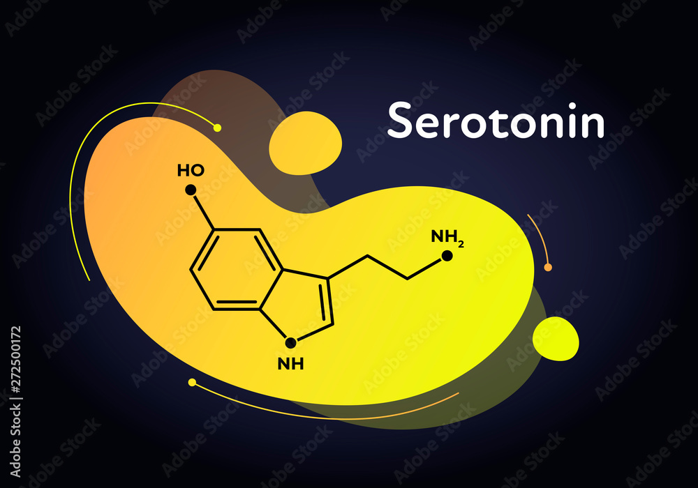 Vector hormones fluid banner template. Seratonin (5-HT) structure in ...