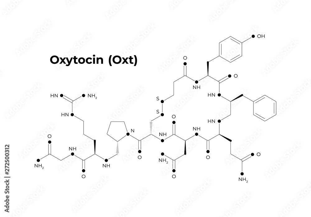 Vector hormones minimalistic banner template. Oxytocin structure black ...