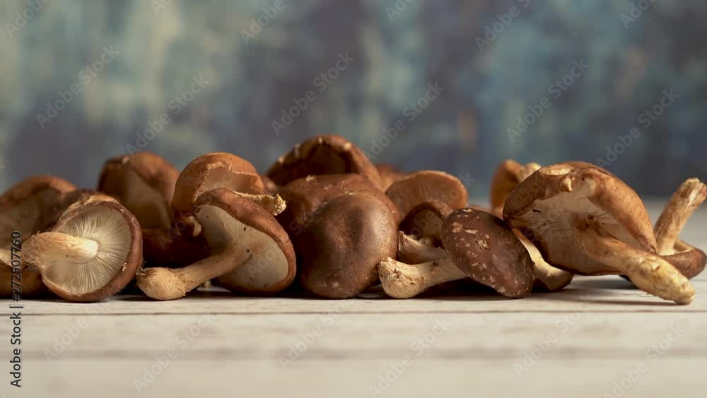 Pull back and pitch up focus on Shiitake mushrooms on painted wood ...