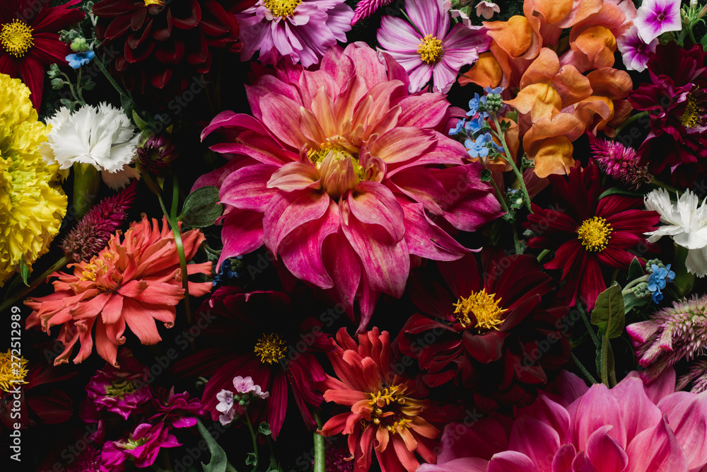 variety of late summer blooms forming a solid background Stock Photo ...