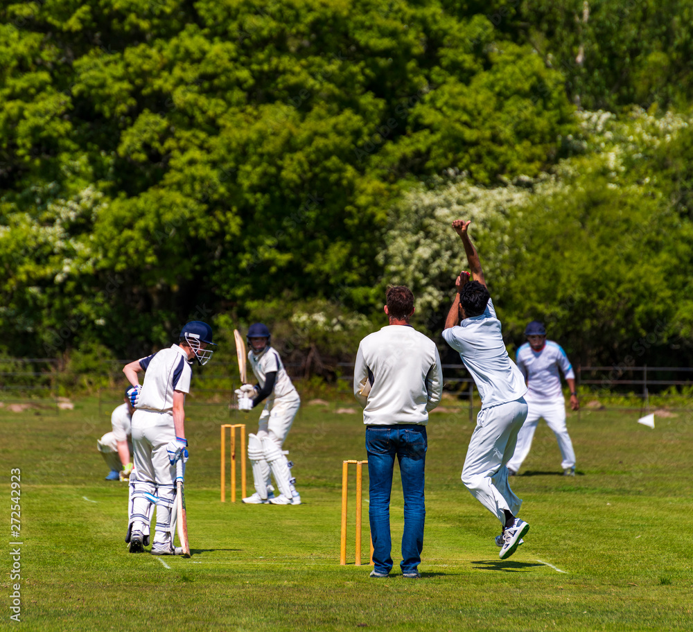 Cricket on a village green in the New Forest, Hampshire Stock Photo ...