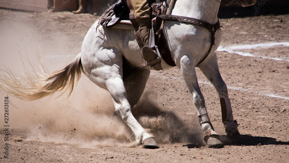 Caballo charro mexicano Stock Photo | Adobe Stock