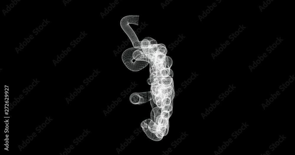 Hologram screen 3d of the small intestine of the human body - loop ...