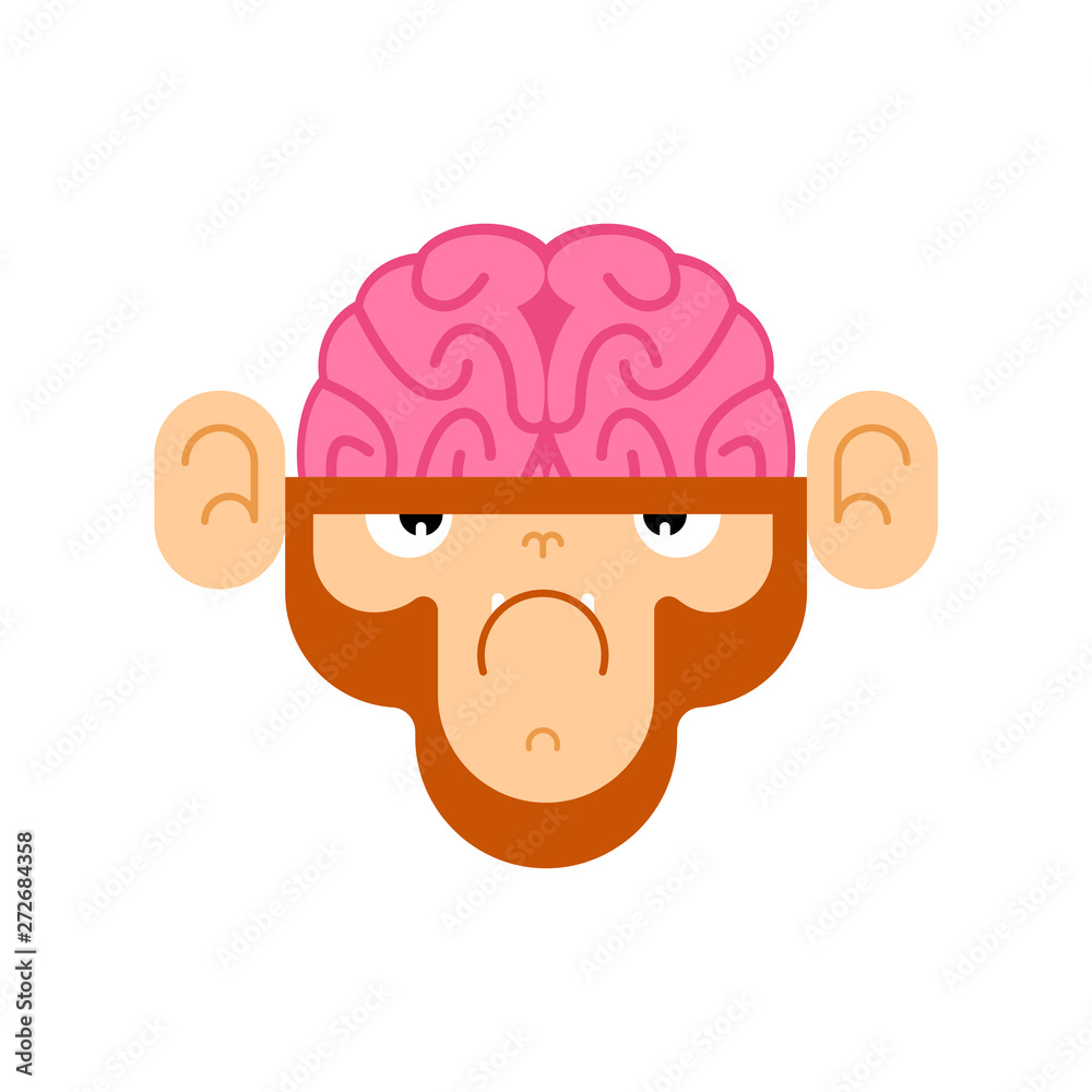 Monkey with brain. Gorilla with brains. Vector illustration Stock ...