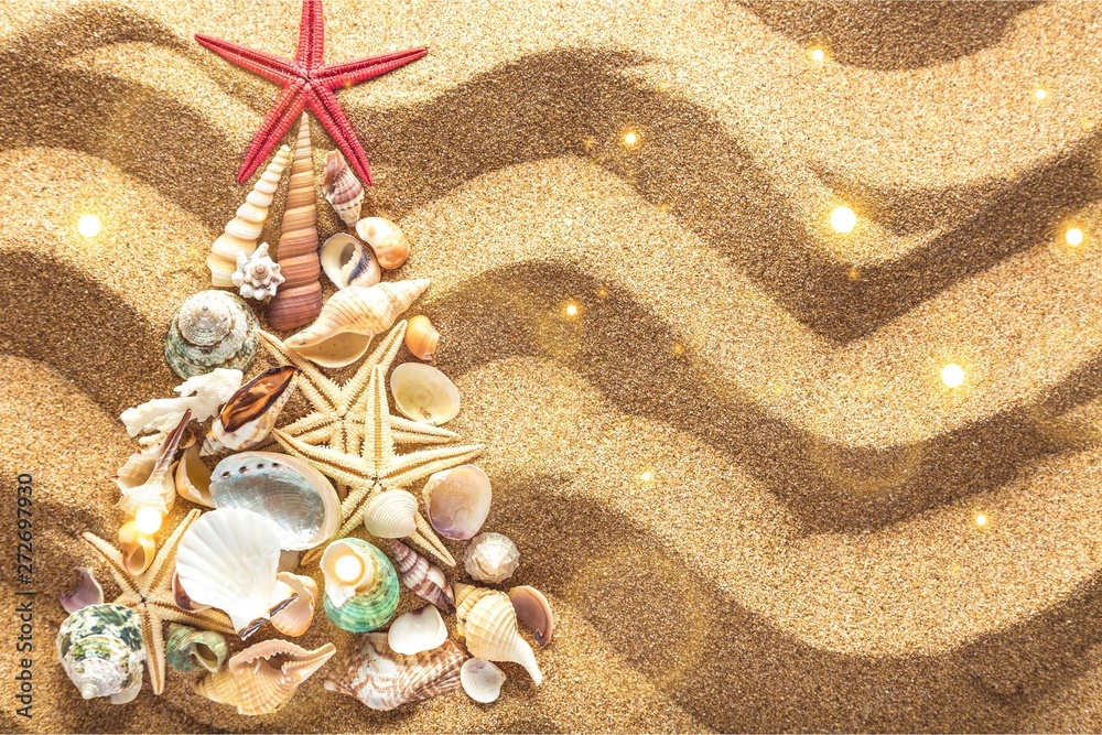 Fir tree made of sea shells on sand background Stock Photo | Adobe Stock