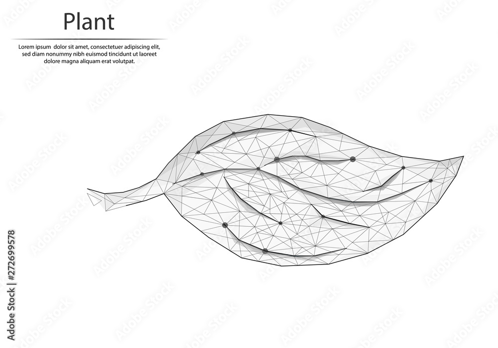 Abstract image plant in the form of lines and dots, consisting of ...
