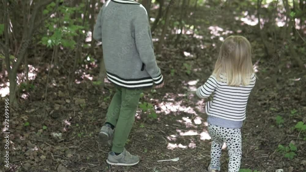 Children go through the woods. A boy and a girl wander through the ...
