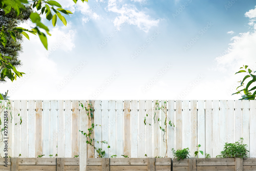 nature landscape, summer frame and free space for text, summer ...