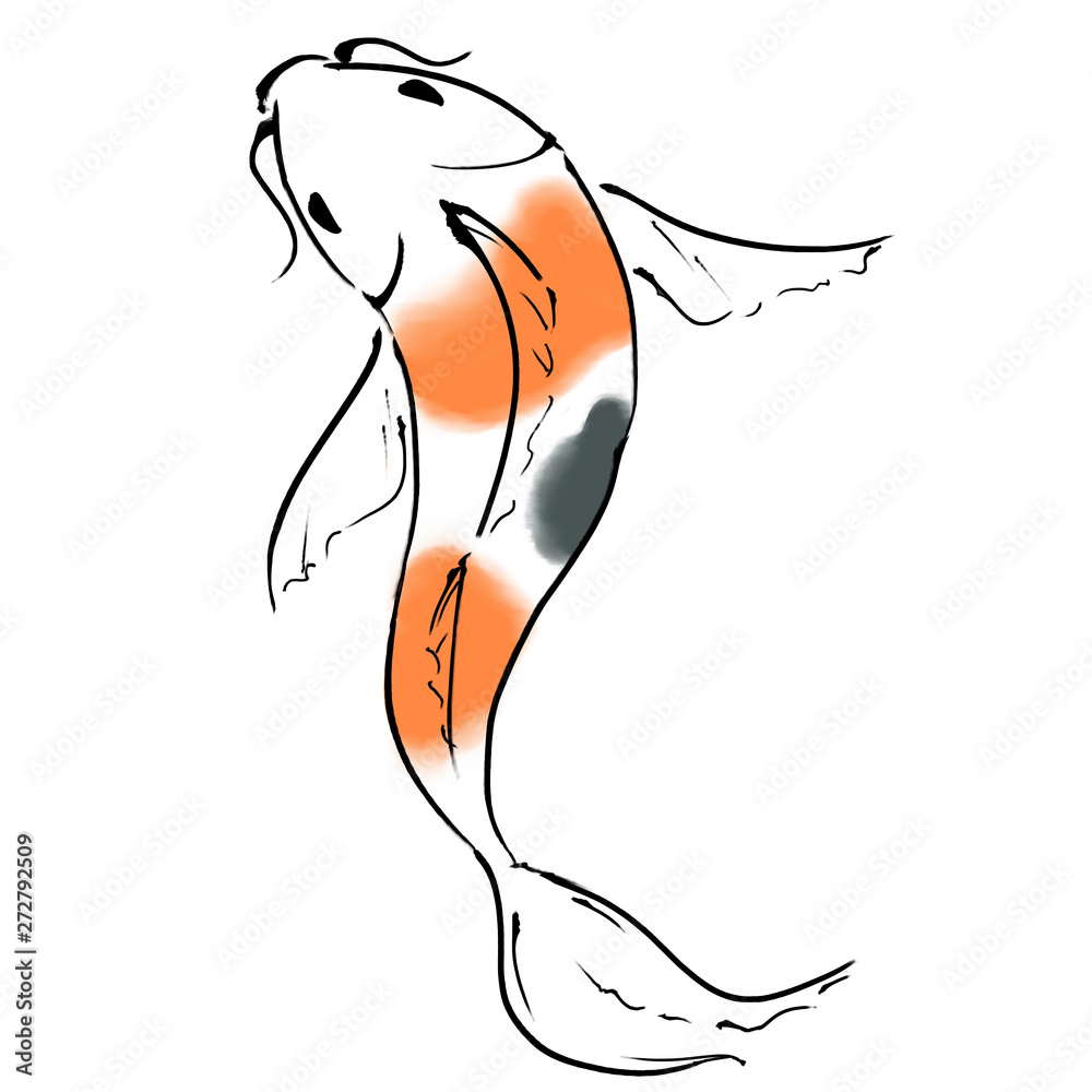 Imitation of ink and watercolour illustration. Koi fish with orange and ...