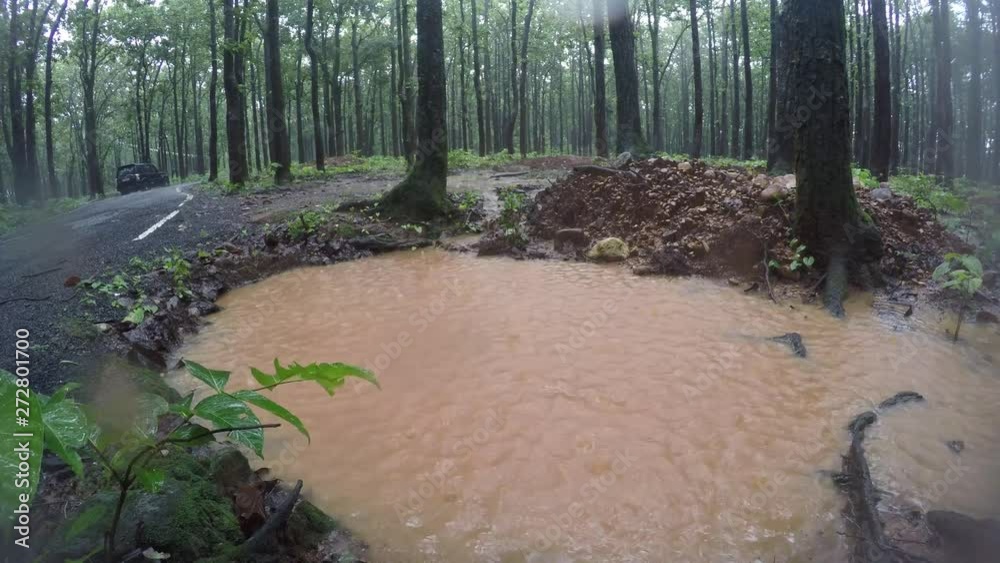The Rainwater Falling to the natural water pits in the Sal Forest of ...