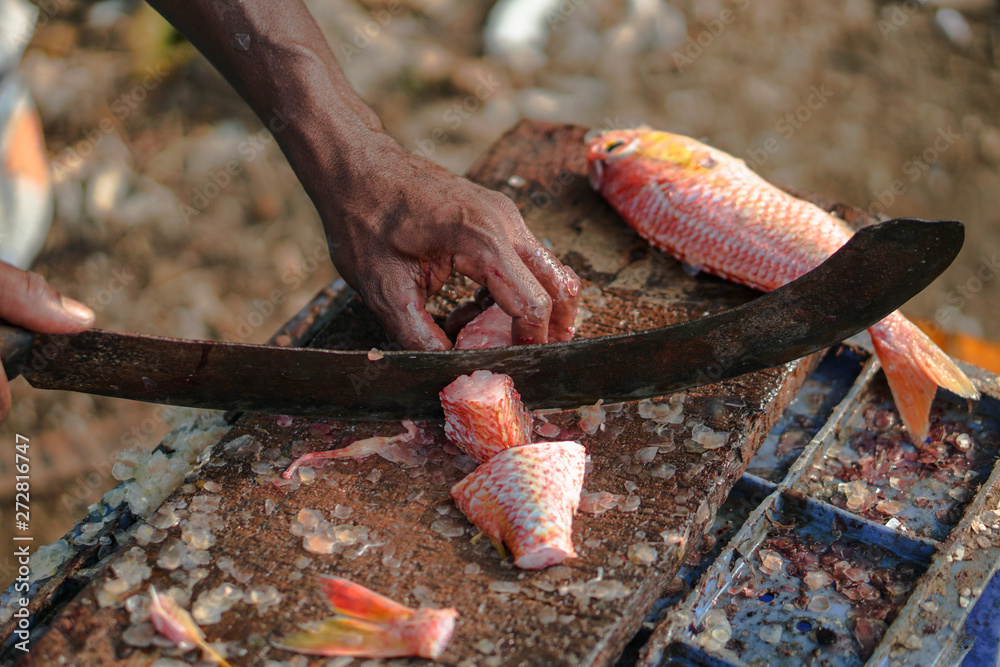 Sliced fish with a knife in the blood. big machete in fisherman's hand ...