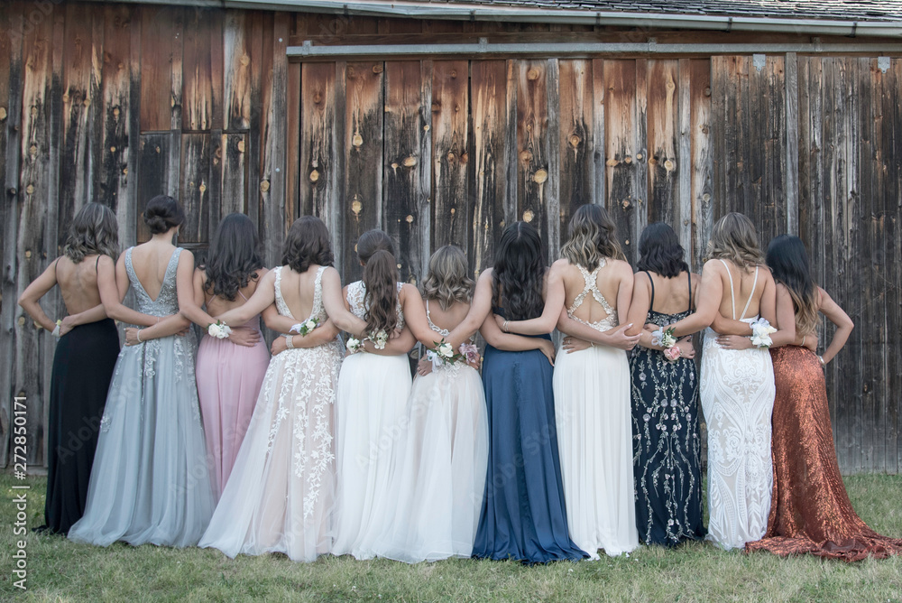 GIRLS AT THEIR PROM Stock Photo | Adobe Stock