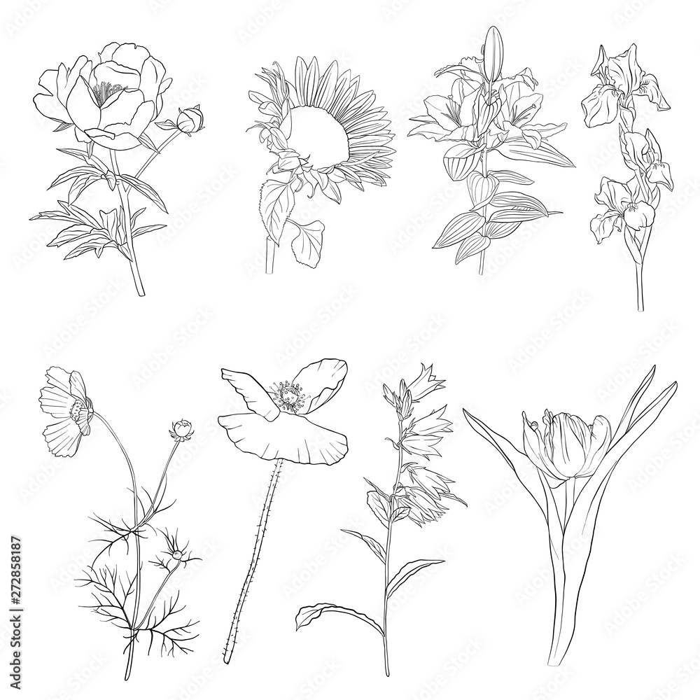 vector drawing flowers Stock Vector | Adobe Stock