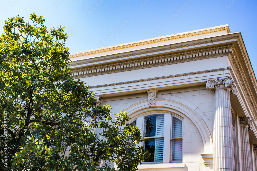 Magnolia Beautiful Archway