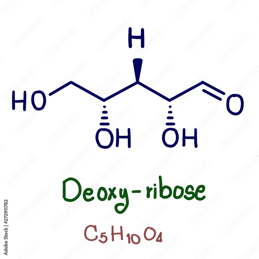 Ribose is a carbohydrate with the formula C5H10O5; specifically, it is ...